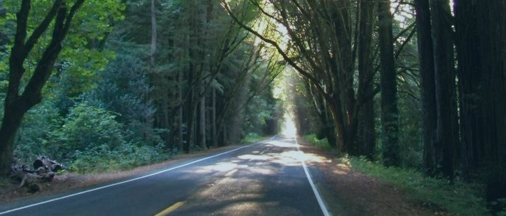 road slide – Portland Center for Emotionally Focused Therapy